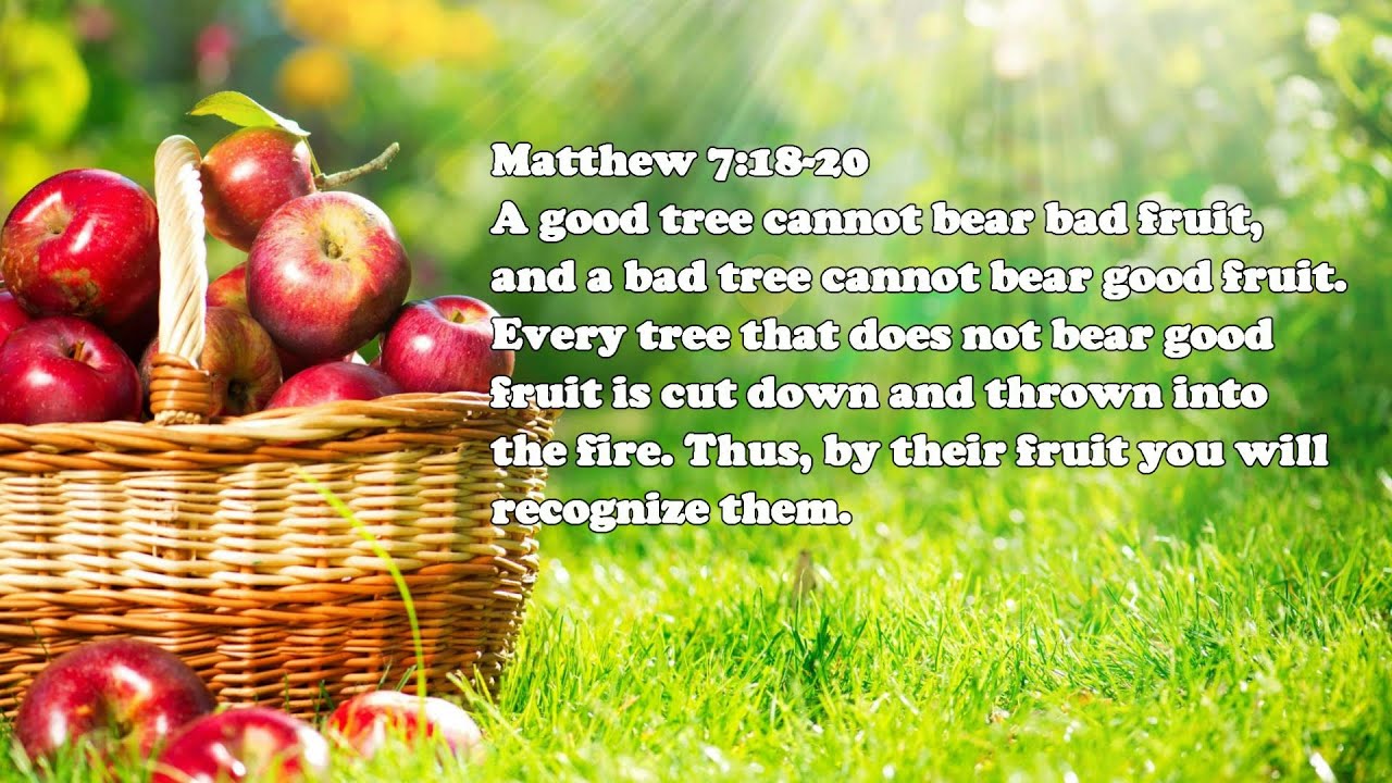 Matthew 7:18-20 - YouTube