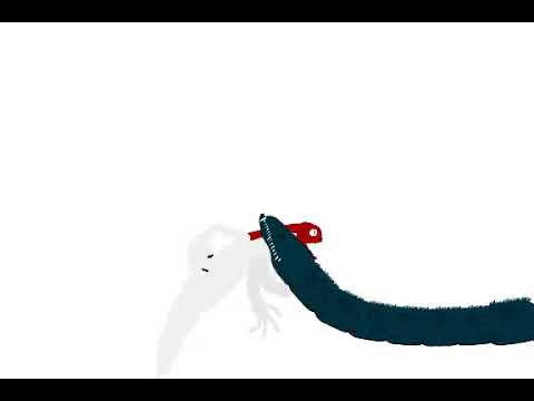 bridge worm vs razortooth