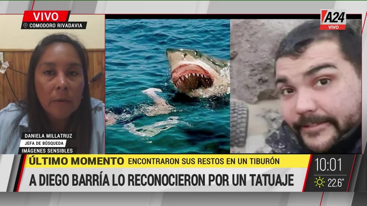 🔴 Estaba desaparecido y lo encontraron dentro de un tiburón - YouTube