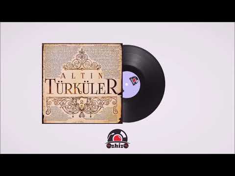 Altın Türküler 2 Plak (LP Plak)