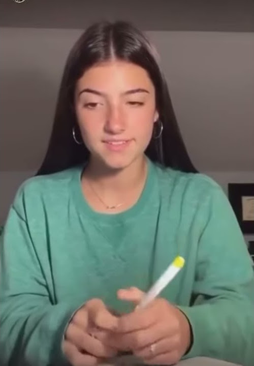 Charli Damelios Old Yellow Hearts Tiktok From 2019 Youtube
