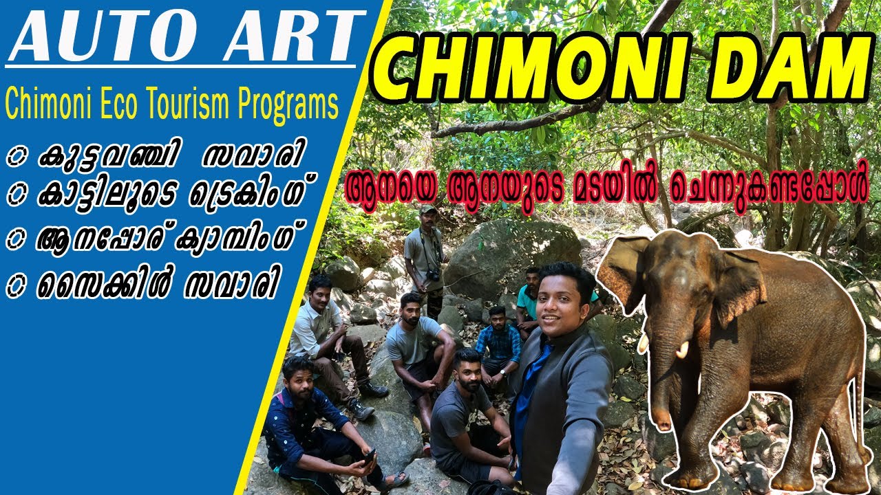 കാട്ടാനയെ കാട്ടിൽ പോയി കണ്ടപ്പോൾ / CHIMONI DAM # ...