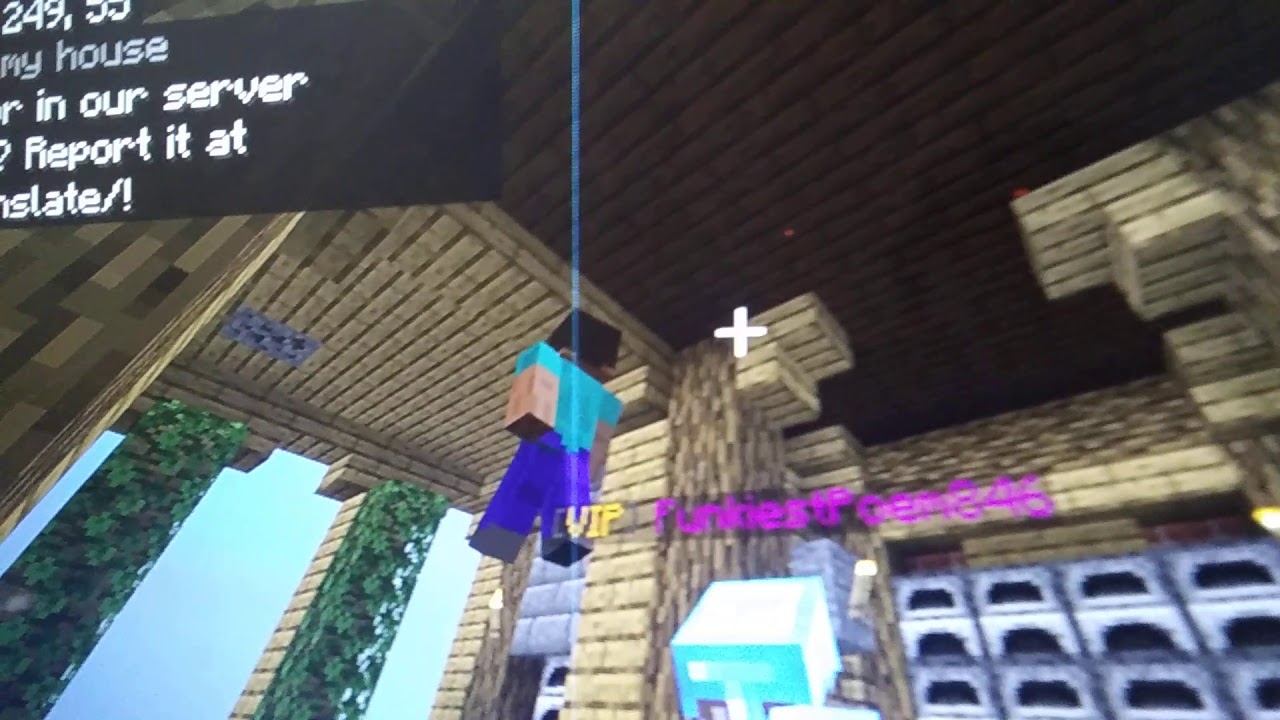 My friends pet looks like a floating Steve - YouTube