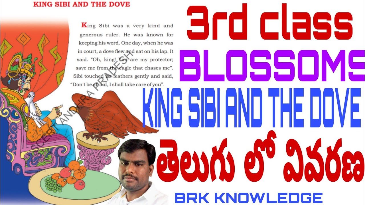 3rd class English KING SIBI AND THE DOVE LESSON EXPLANATION TELUGU ...