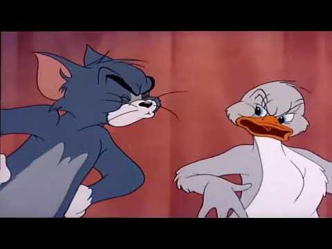 Tom y Jerry en Español Little Quacker Down an480P - YouTube