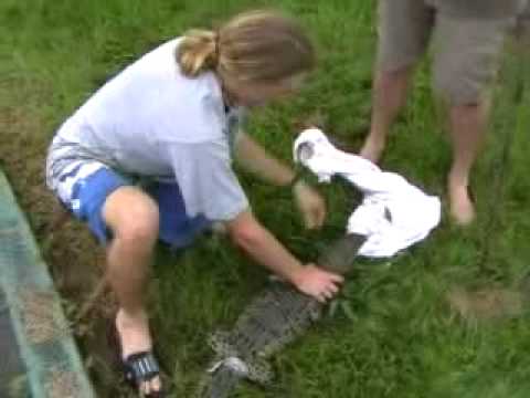 How to catch a crocodile - YouTube