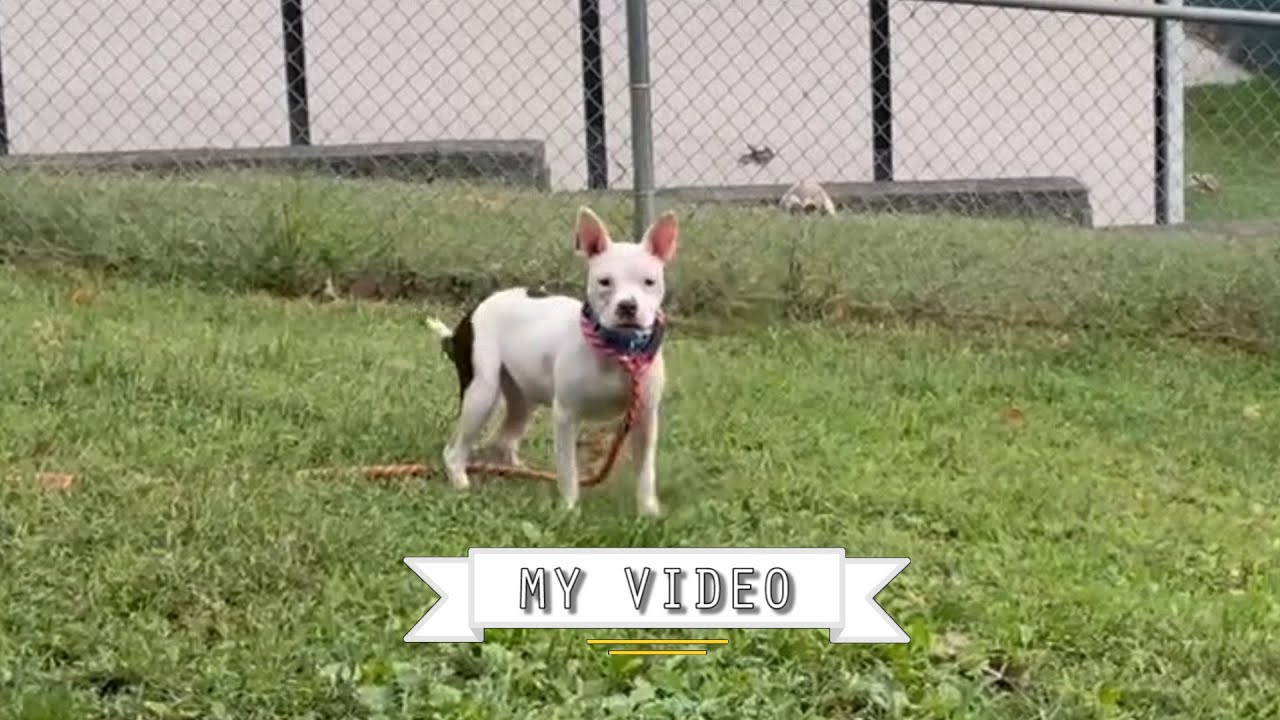 Ruby Youtube
