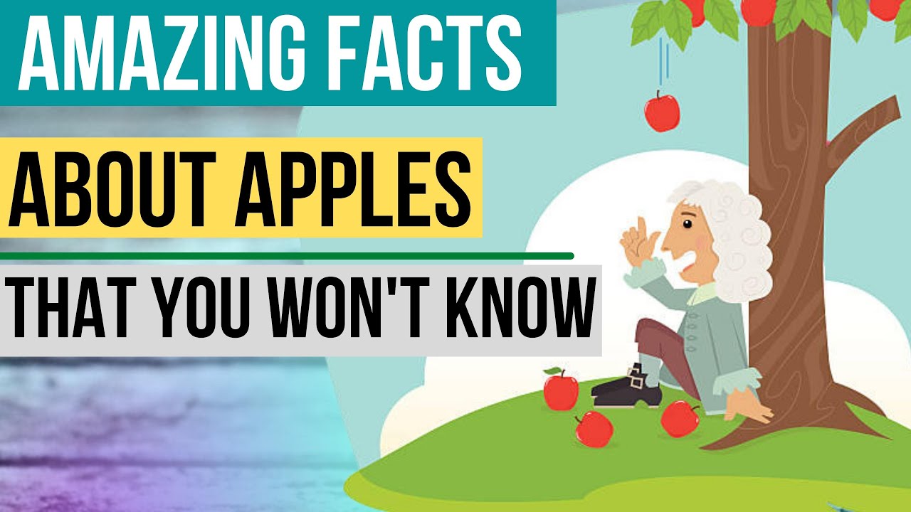 TOP FUN FACTS ABOUT APPLES | What Is Unique About Apple Fruit? - YouTube