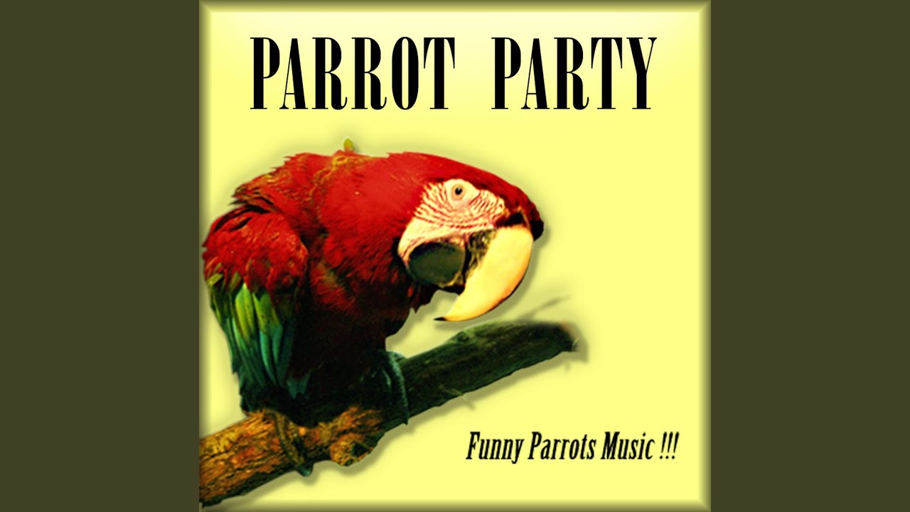 Happy Parrot Music - YouTube