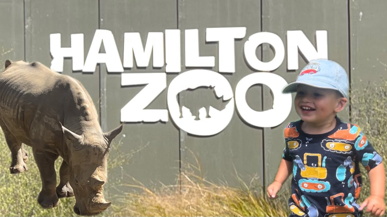 🦏 RHINOS at Hamilton Zoo 🦏 - YouTube