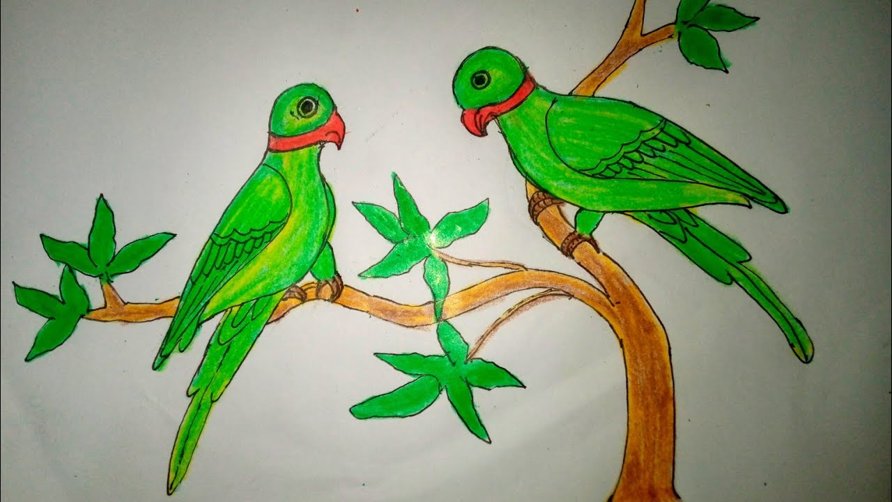 How to draw Two Parrots on a branch of a tree step by step. - YouTube