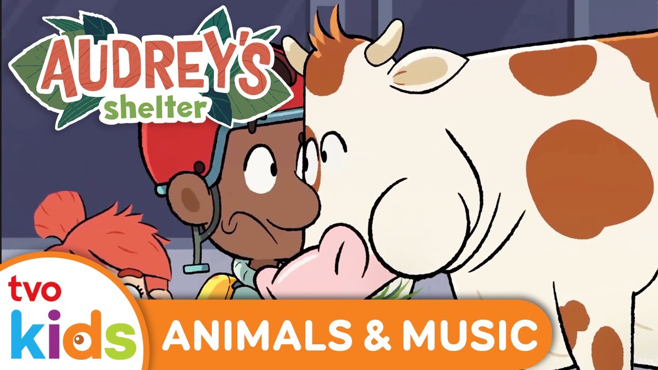 Do Animals Like Music? 🎶🦁 | 🇨🇦 AUDREY’S SHELTER 👩‍🦰🦍 | Exciting Animal ...