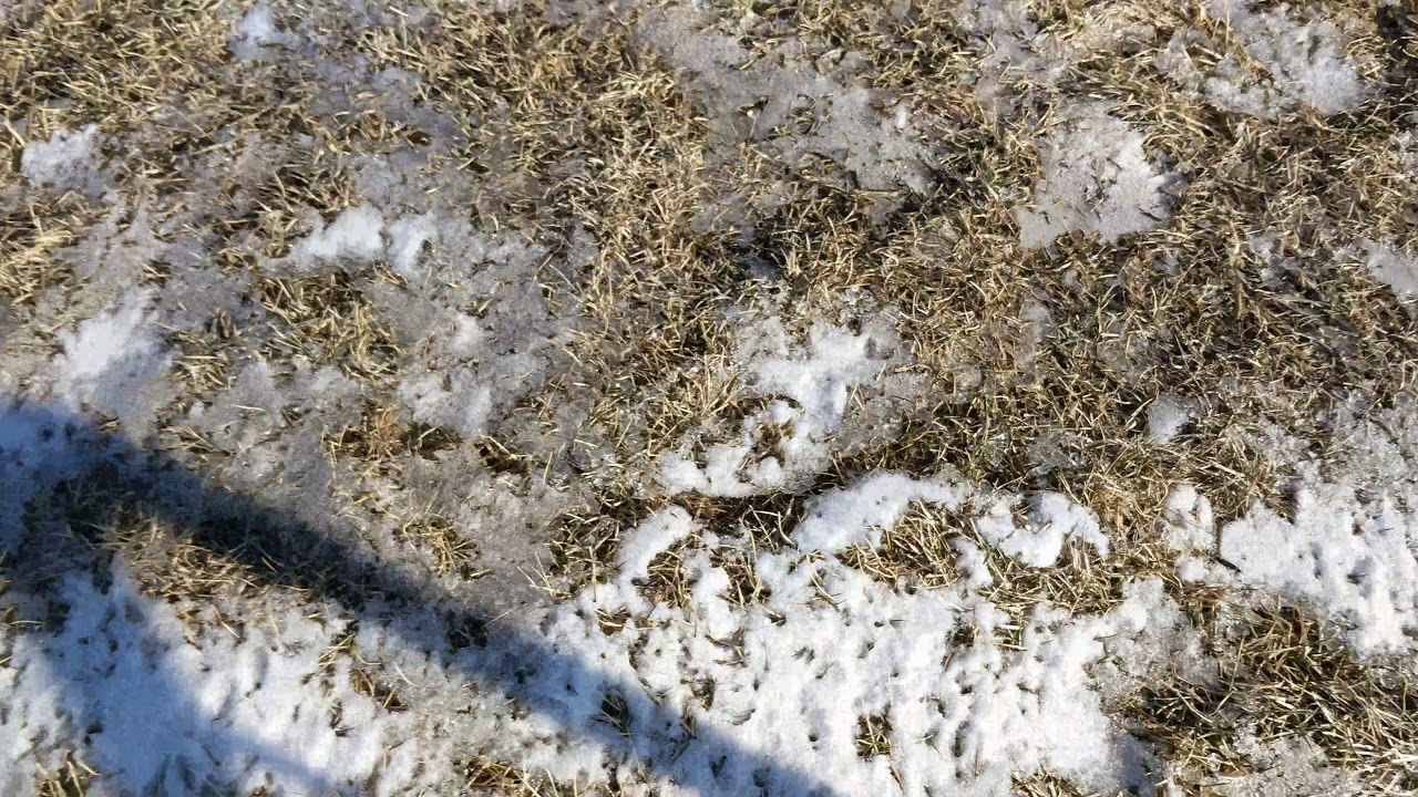 Blaring Blair - Cutting Grass by Monday - YouTube