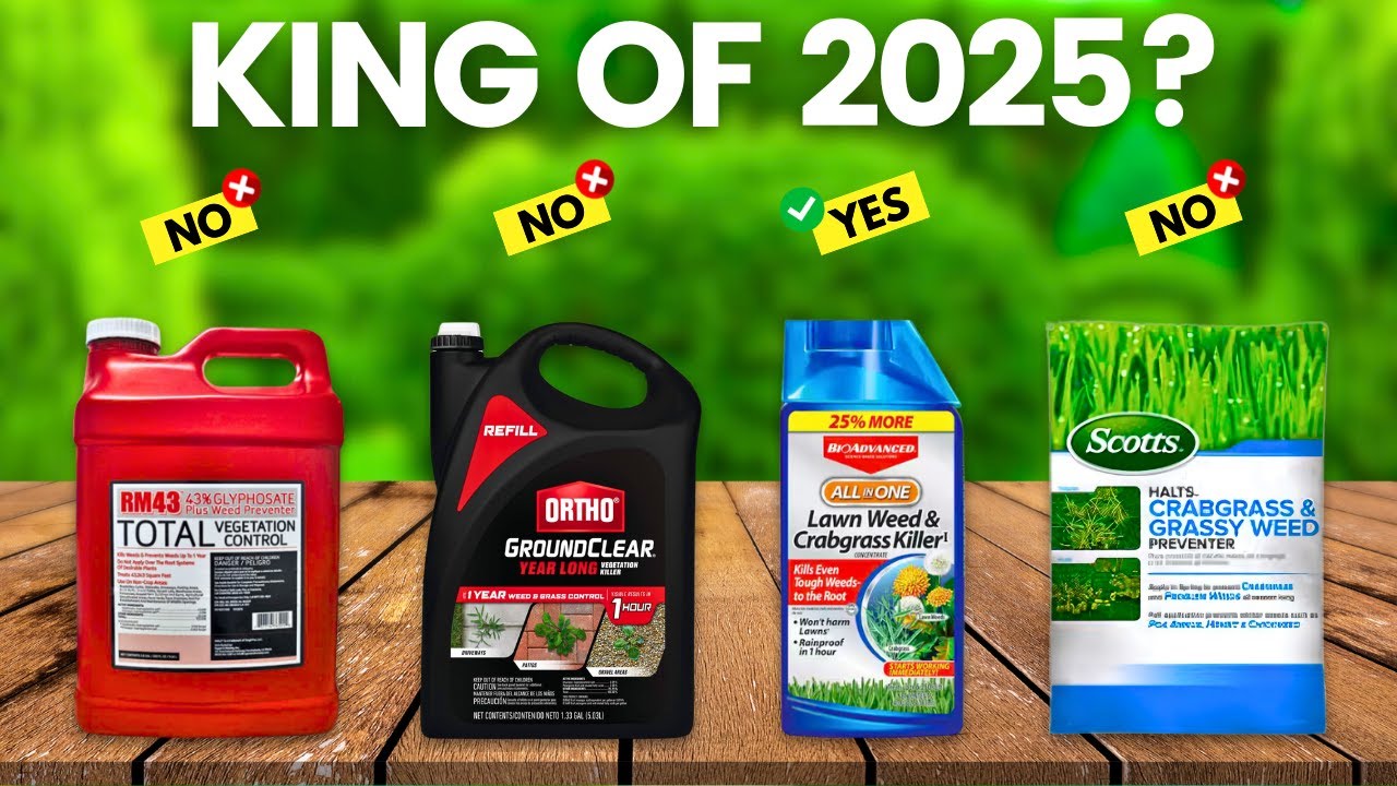 6 Best Weed Preventer For Lawn 2025 - YouTube