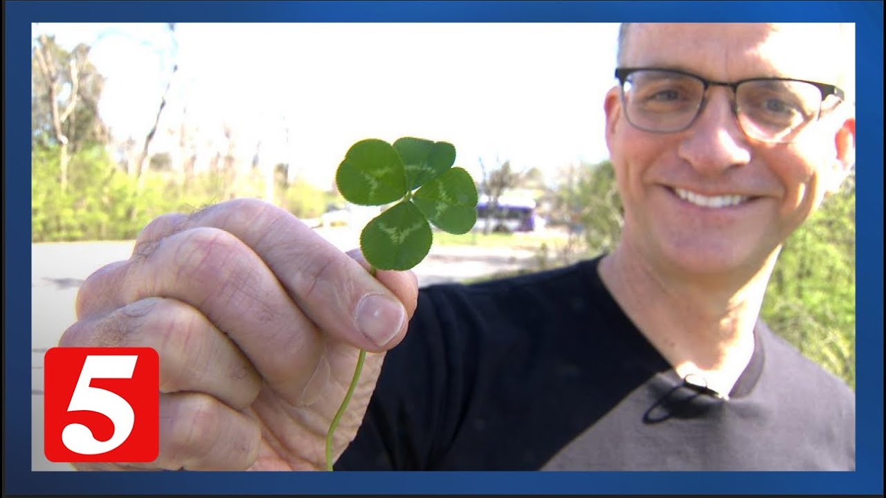 Feeling lucky: Man's story gives depth to his four-leaf clover ...