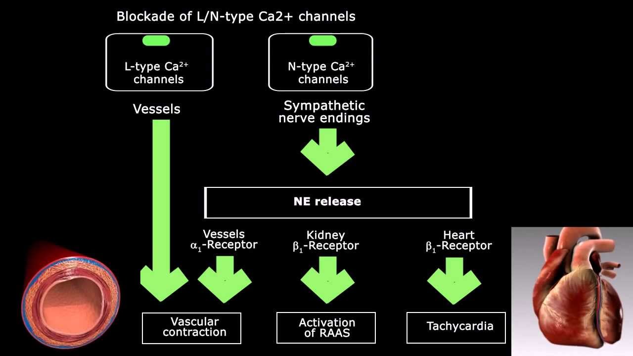 Rancil - Cilnidipine for hypertension - YouTube