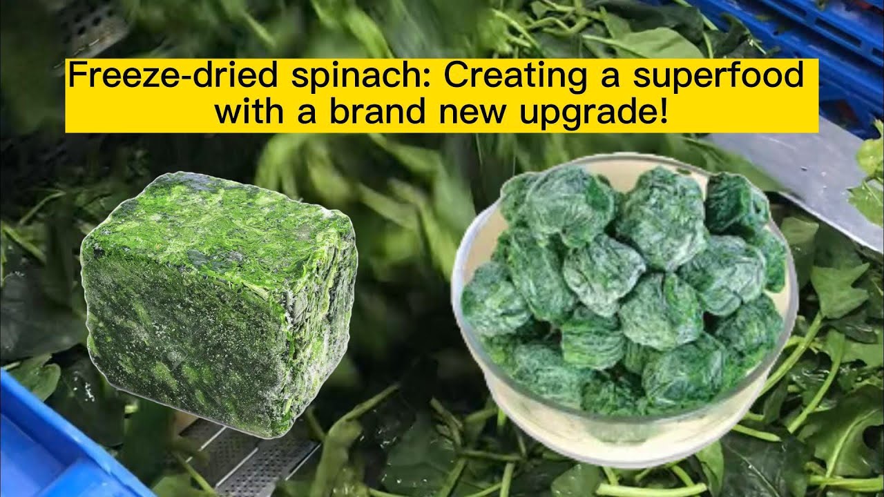 From spinach to super dry goods:the magical transformation of freeze ...
