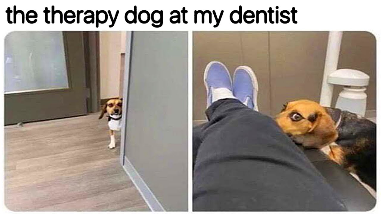 Therapy Memes - YouTube