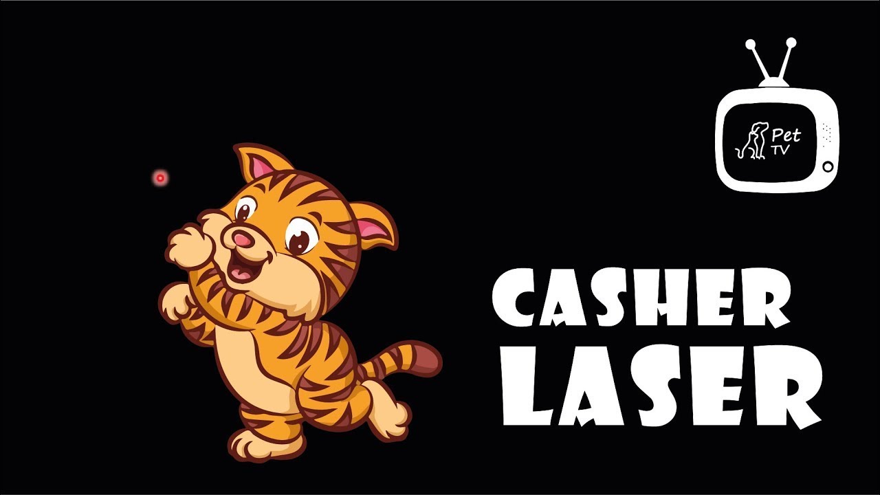 CAT GAMES ON SCREEN Red Dot Laser Chaser Point Videos for Cats to Watch ...