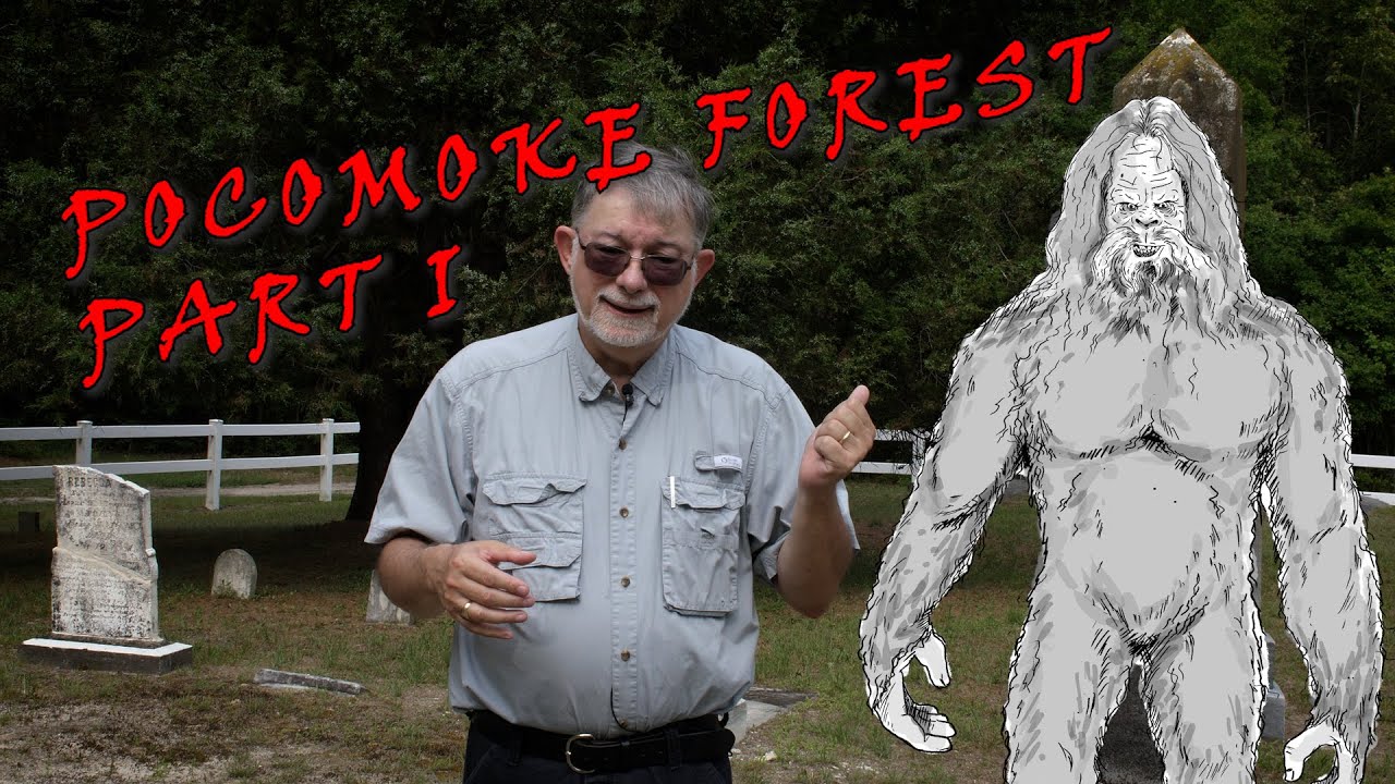 Pocomoke Forest Part I: Black Water - YouTube