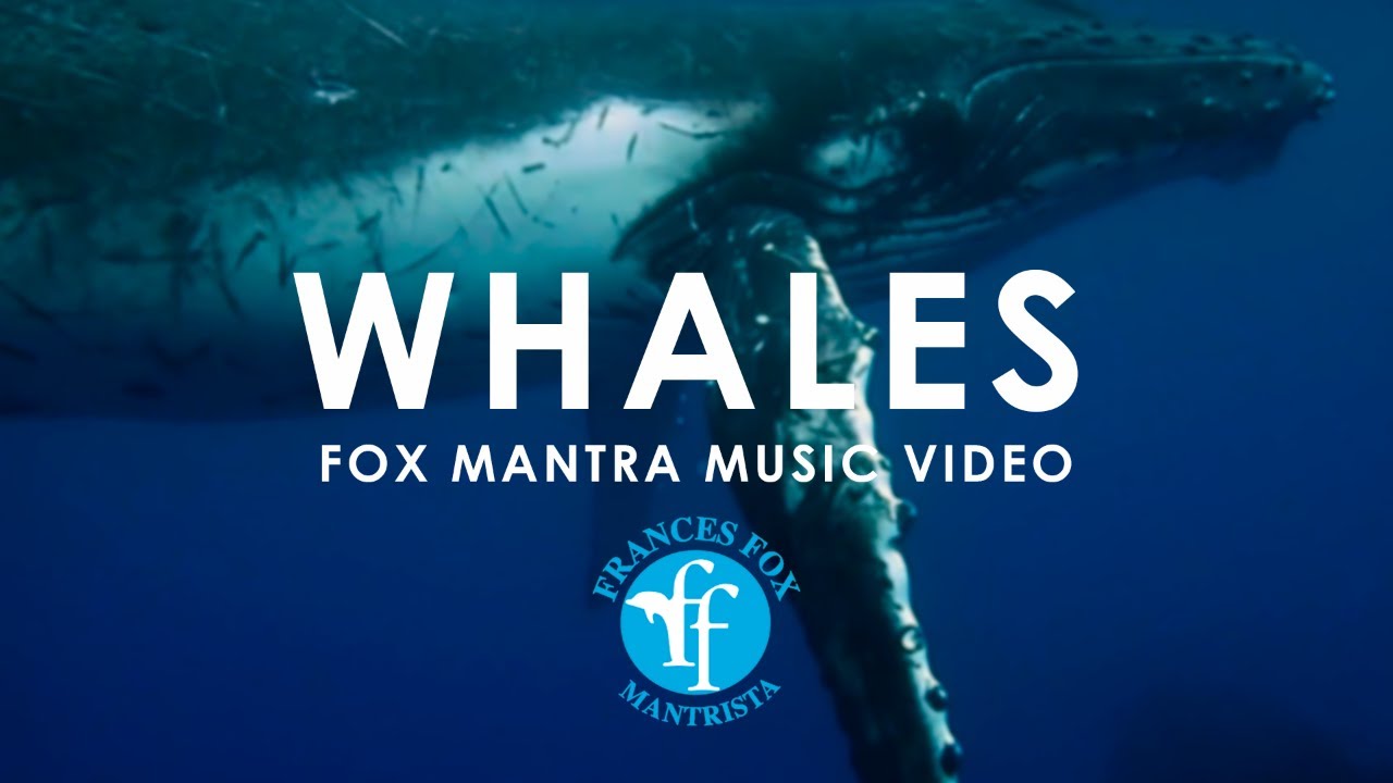 PEACE MANTRA AND FOX SENSORY THERAPY - YouTube