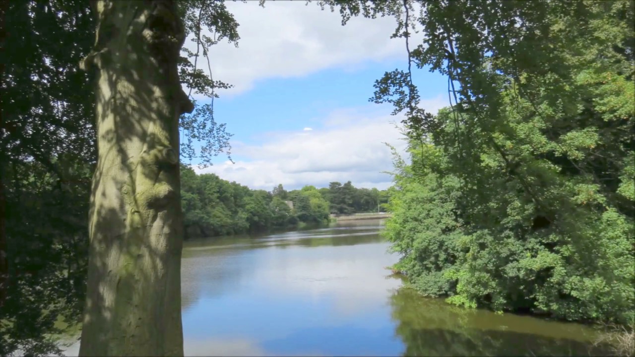 Time Lapse Lymm Dam, Cheshire, England - YouTube