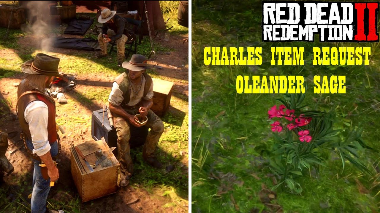 CHARLES Requesting Oleander Sage . Red Dead Redemption 2. - YouTube
