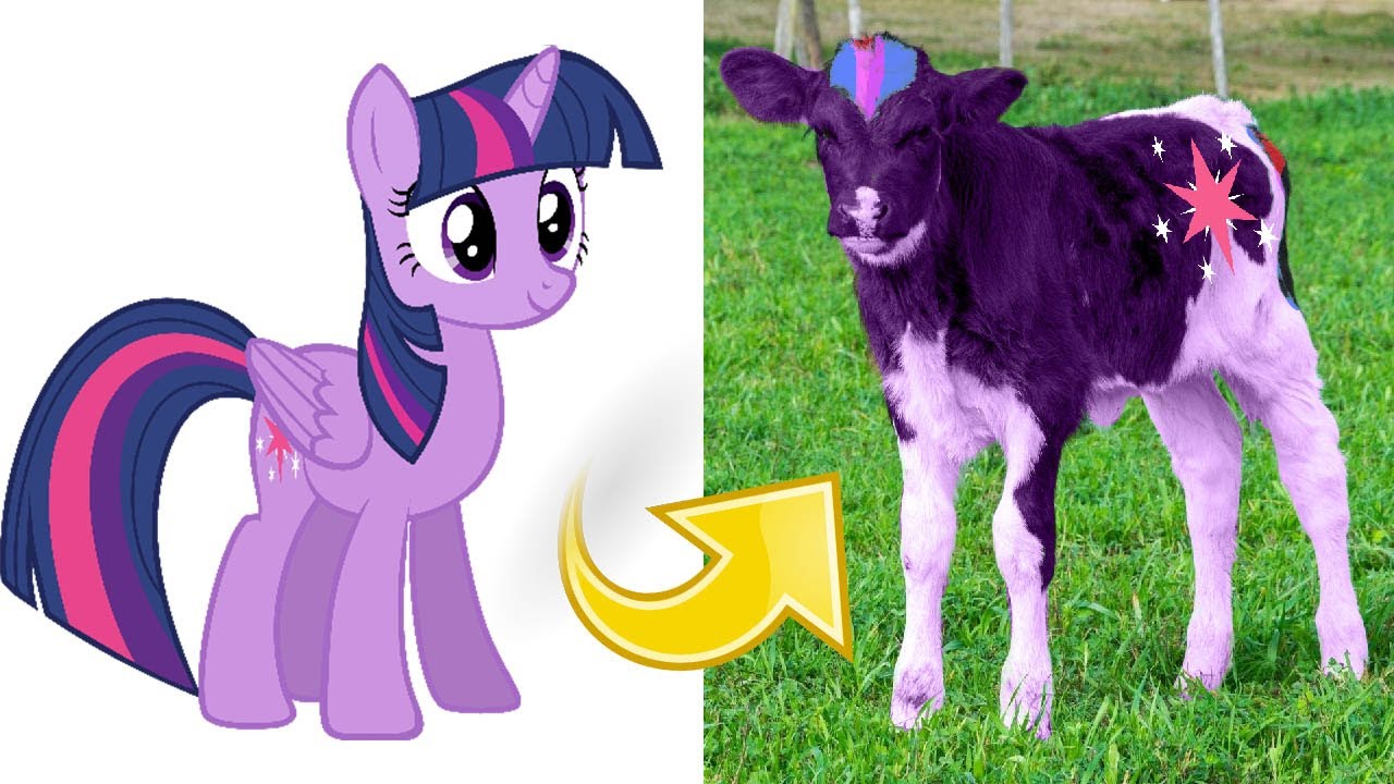 Mlp Cow