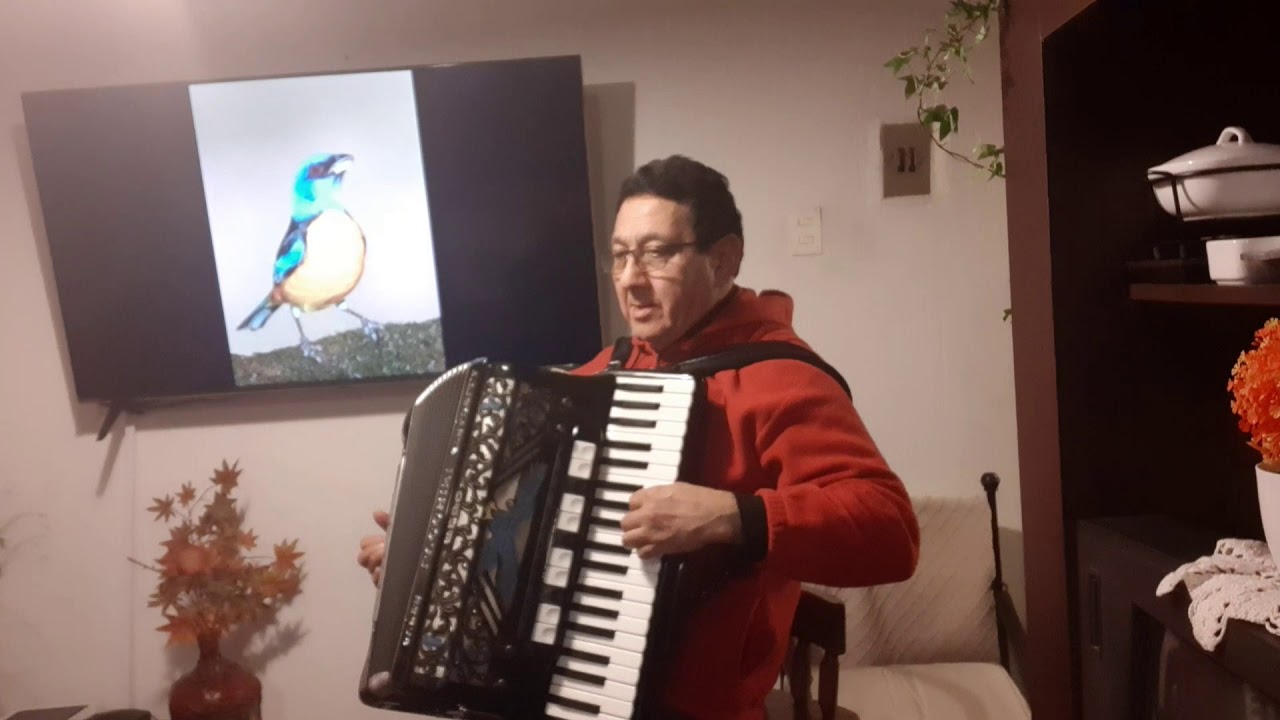 PAJARO CHOGUI 13 de julio de 2020 - YouTube