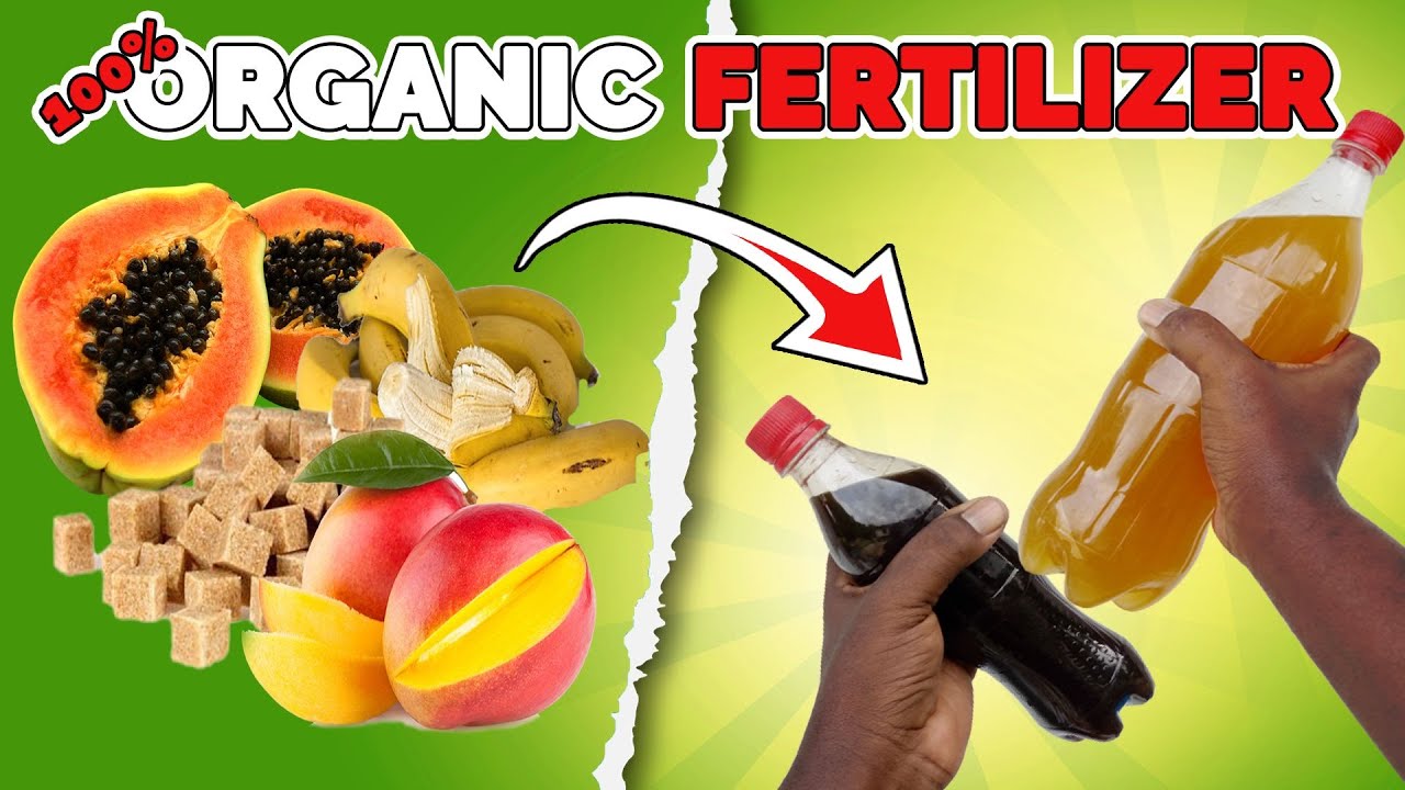 How To Make FERTILIZER At Home - YouTube