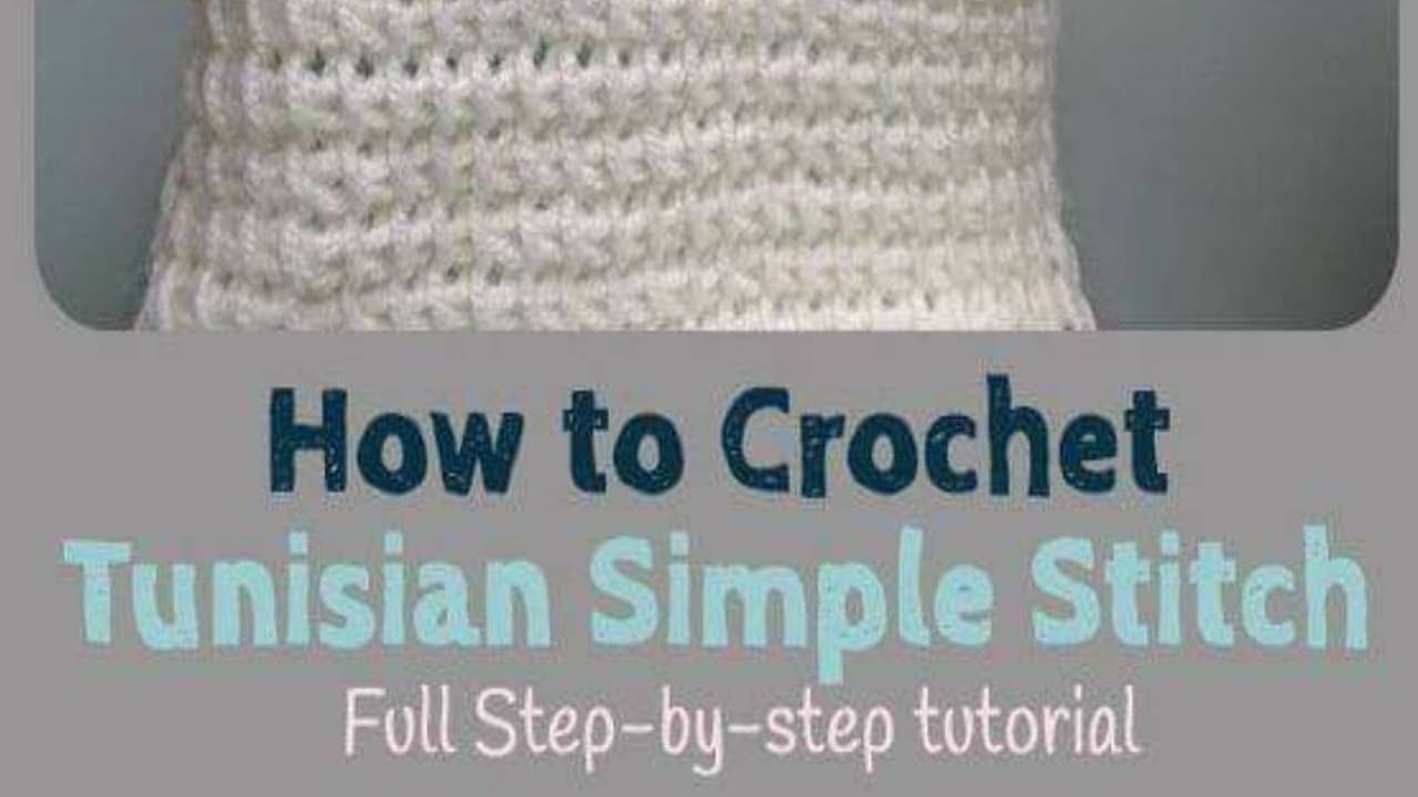 Tunisian Crochet Tutorial: Step by Step Instructions and Color Changing ...
