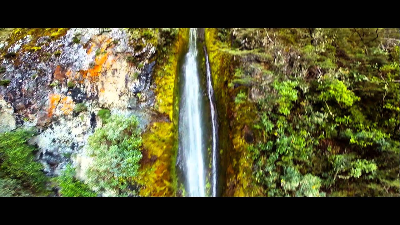 Dog stream waterfall - YouTube