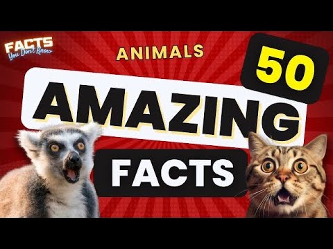 ULTIMATE 50 Rare Animal Facts Compilation To Blow Your Mind! | Googled ...