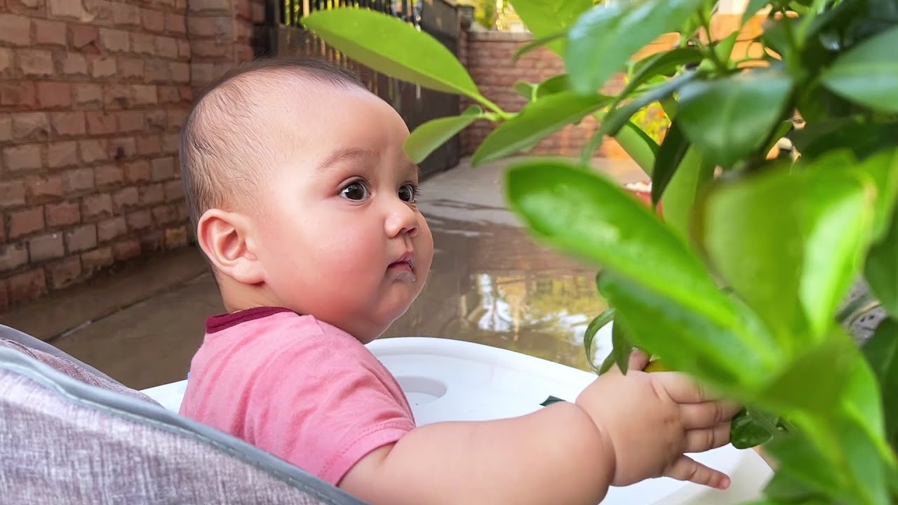 Baby Alex 8 months baby playing outdoor - YouTube