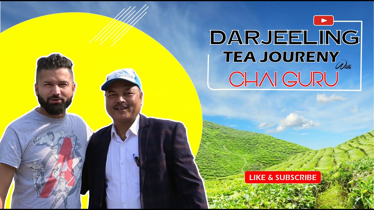 DARJEELING TEA JOURNEY | CHAI GURU | #teaeducation #darjeelingtea # ...