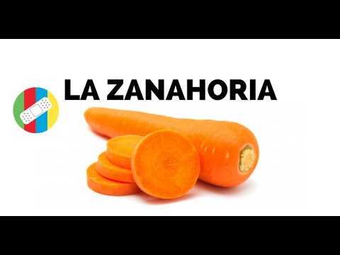 LA ZANAHORIA - YouTube