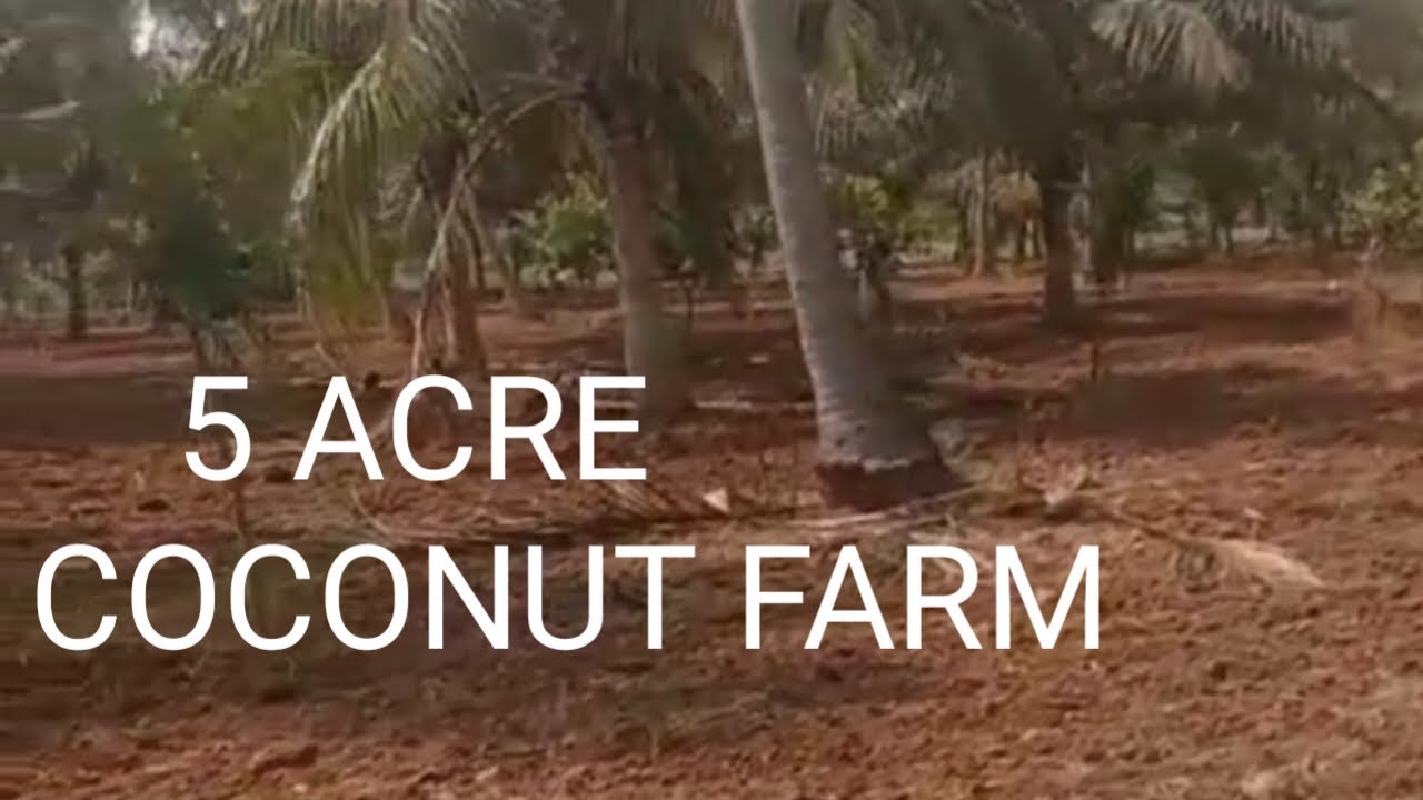 Ie) 5 ACRE | ENSURE STRONG FOUNDATION FOR YOUR FUTURE FARM LAND'S | NEW ...