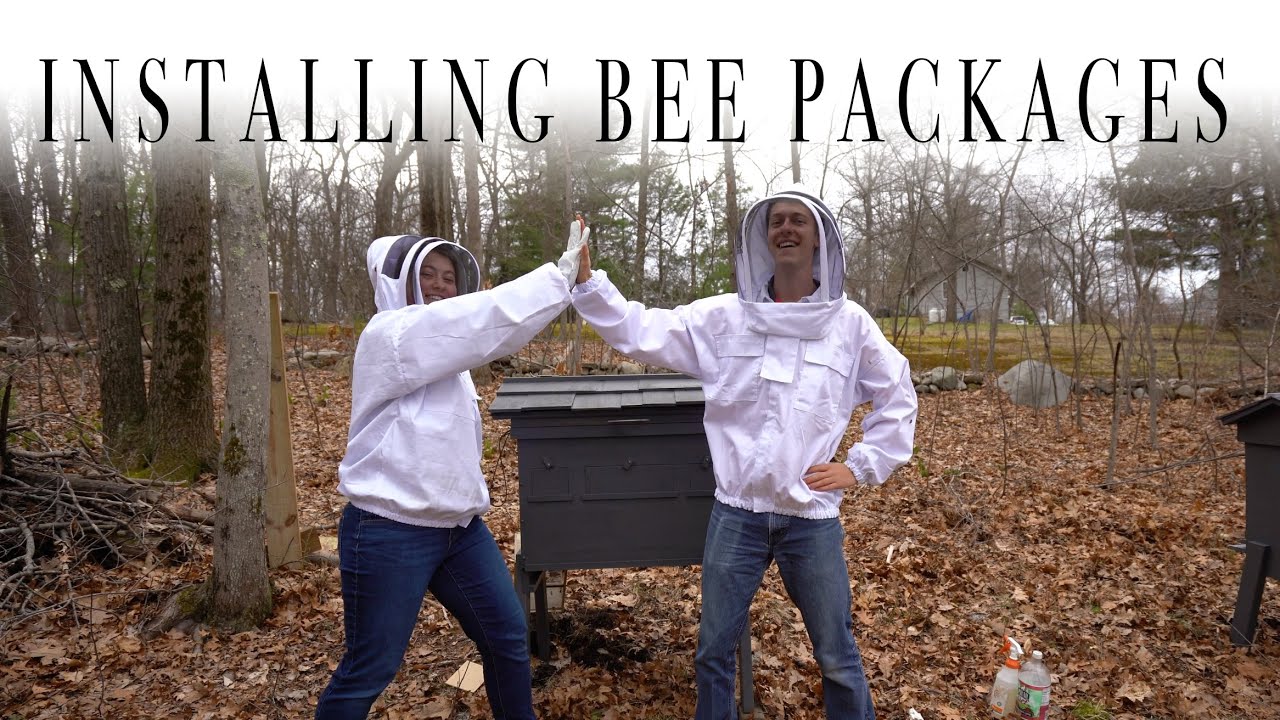 Installing 2 Bee Packages - YouTube
