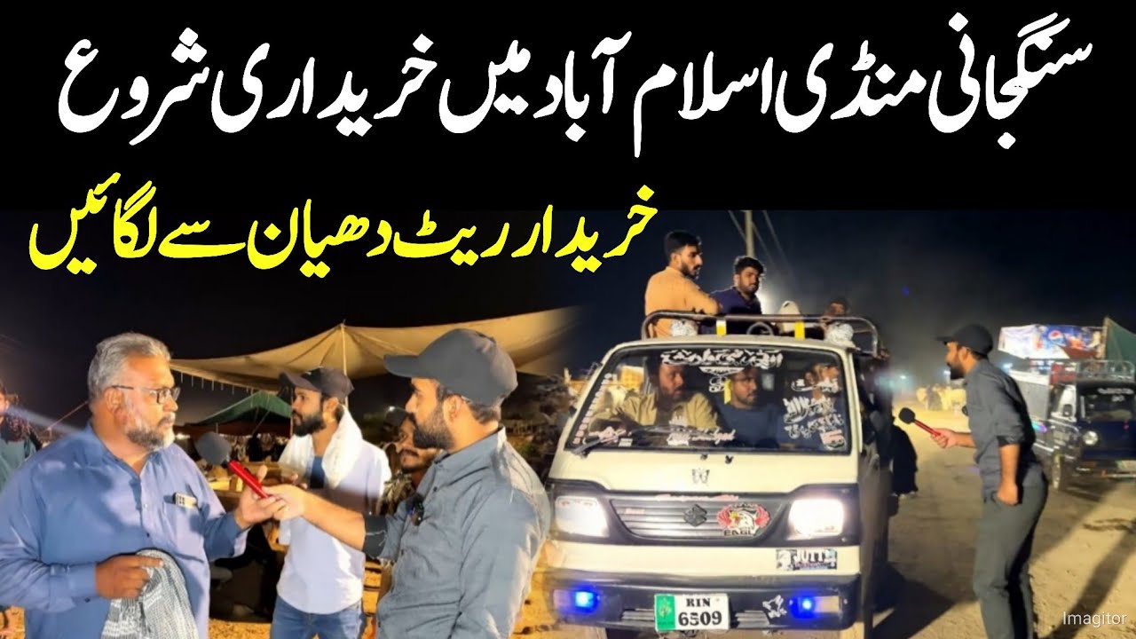 Sangjani Mandi 2025 Islamabad - Live Sale start Qurbani 2025 - Cow ...