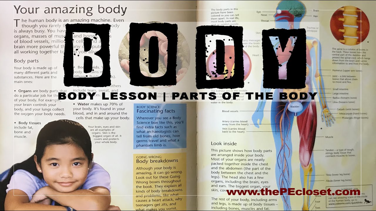 Parts of the Human Body | PE Lesson ( Usborne Inspired) | THE PE CLOSET ...