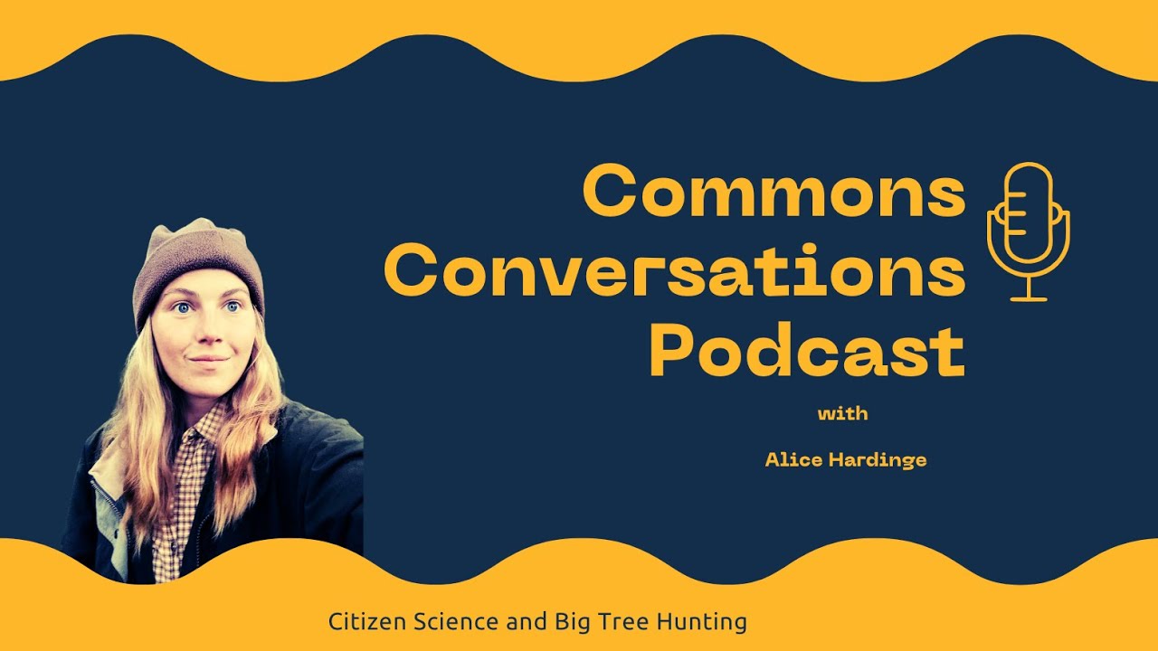 Commons Conversations with Alice Hardinge: Citizen Science and Big Tree ...