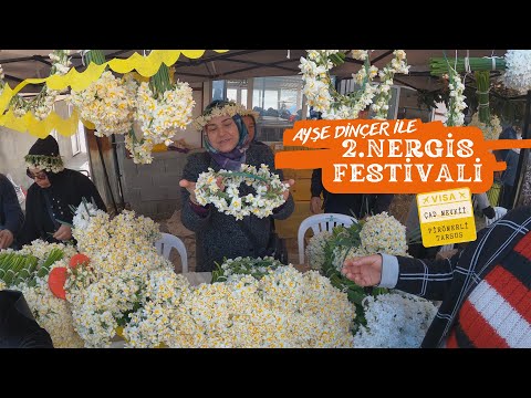 Ayşe Dinçer ile ikinci Nergis Şenliği TARSUS PİRÖMERLİ ÇAD MEVKİİ