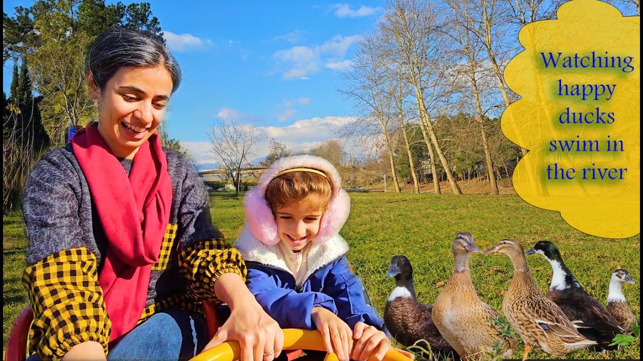 "Children's play by the raging river and watching colorful ducks play ...