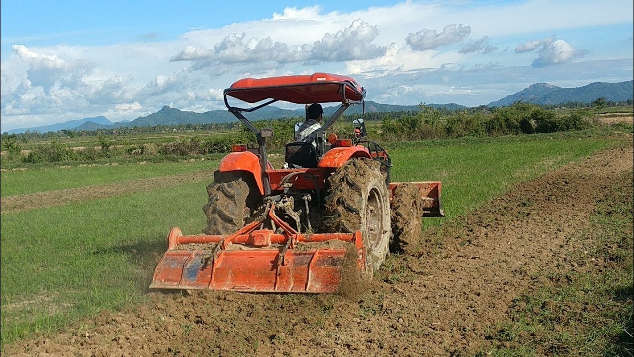 How to Prepare Land for Growing Rice by Using Tractor Kubota M6040 SU ...