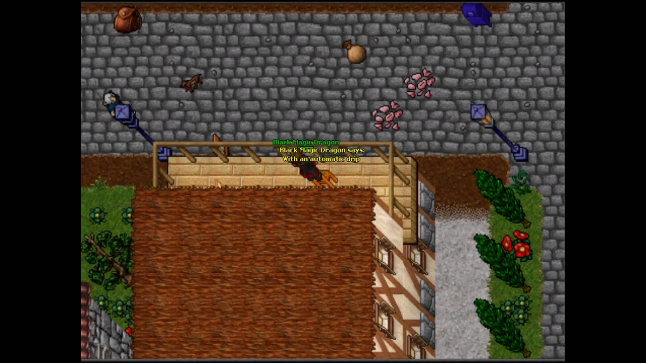 Tibia- Eiffel 65 - Discovery Channel music video (Tibia style + lyrics ...