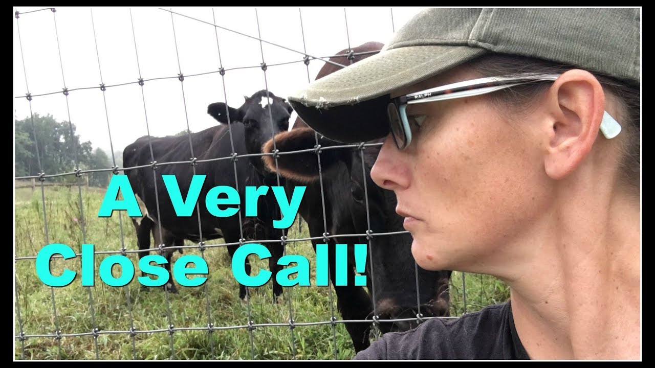 A Very Close Call! - YouTube