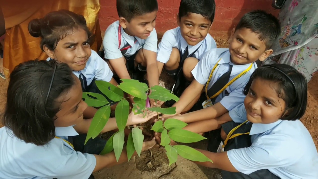 Tree plantation at Chanda Public School 2019-20. - YouTube