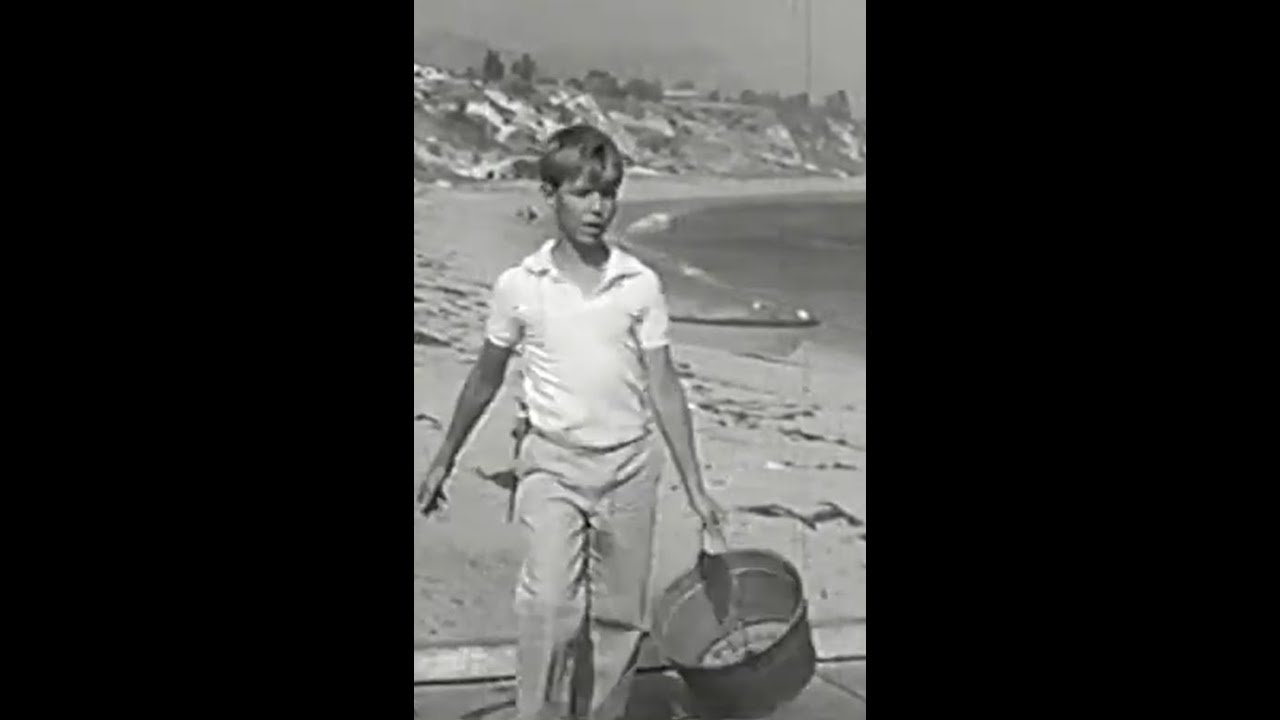 Movie Kids series - 1960 : " Raymie", starring 12 y.o. David Ladd - YouTube