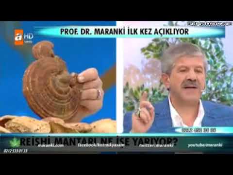 Gano Excel kırmızı reishi mantarı Ahmet Maranki