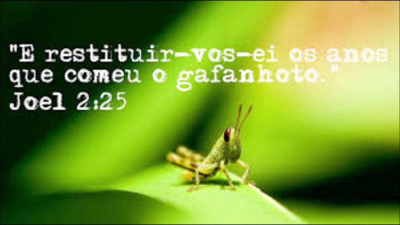 28/10/2020 Joel 2:23-27. UMA PROMESSA GLORIOSA DE RENOVO! - Joel 2:23 ...
